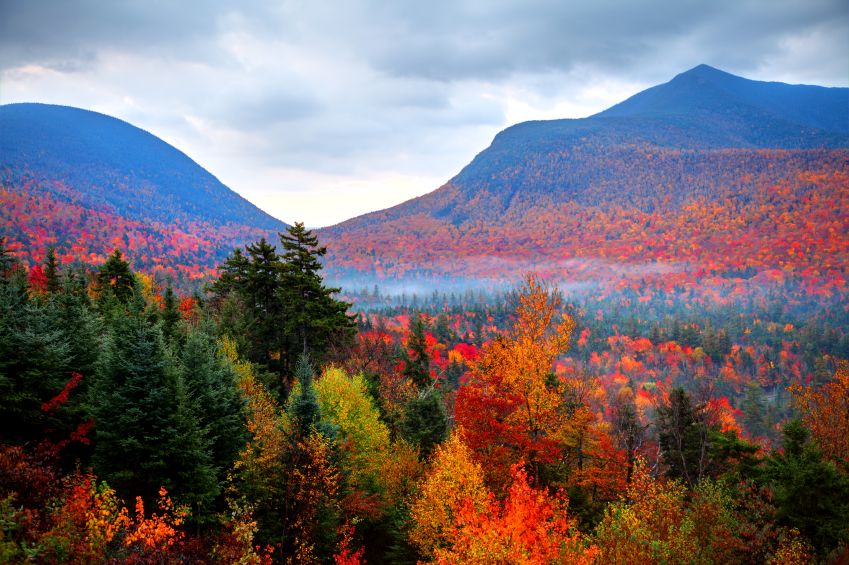 Top 10 Places To See Fall Colors In Colorado