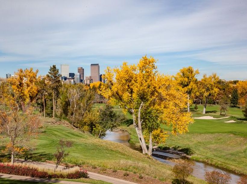 Denver's Country Club Neighborhood - Grand and Elegant Enclave